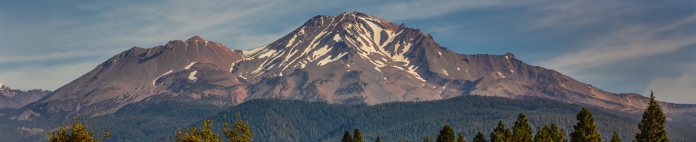 Health Insurance - DCSS