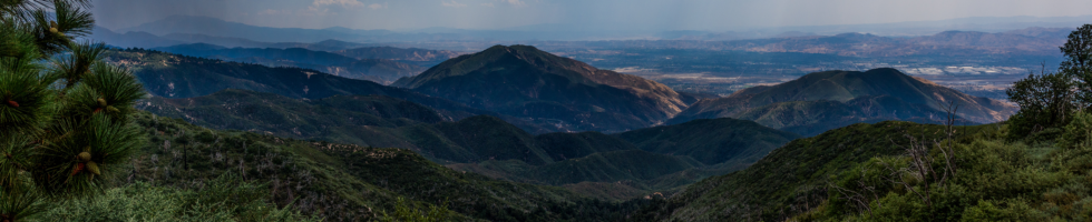 Employer Frequently Asked Questions (FAQs) - DCSS